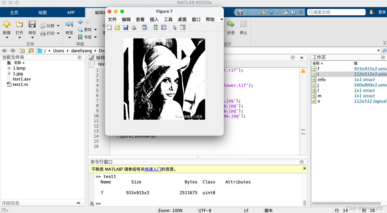 MATLAB图像处理基础：读取、显示与转换-CSDN博客
