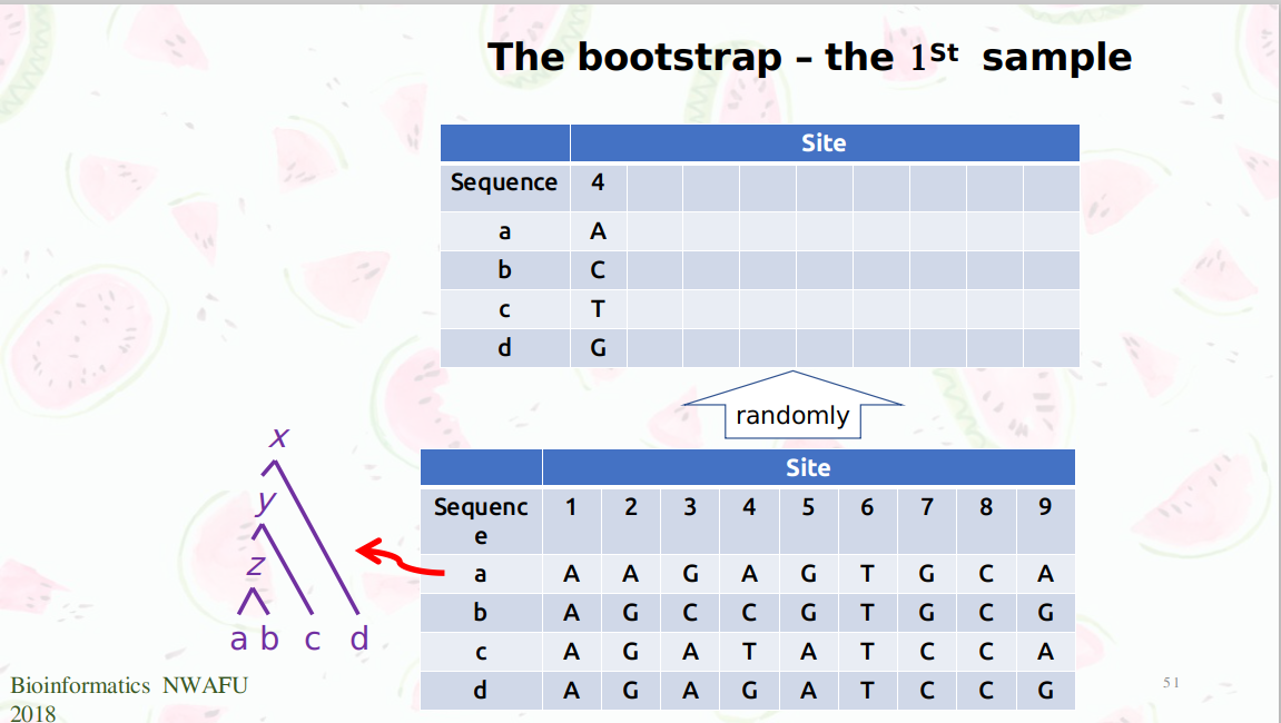 自举检验(bootstrapping)介绍-CSDN博客