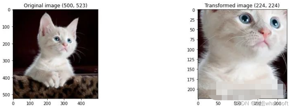 关于图像数据增强_数据增强对图像旋转-CSDN博客