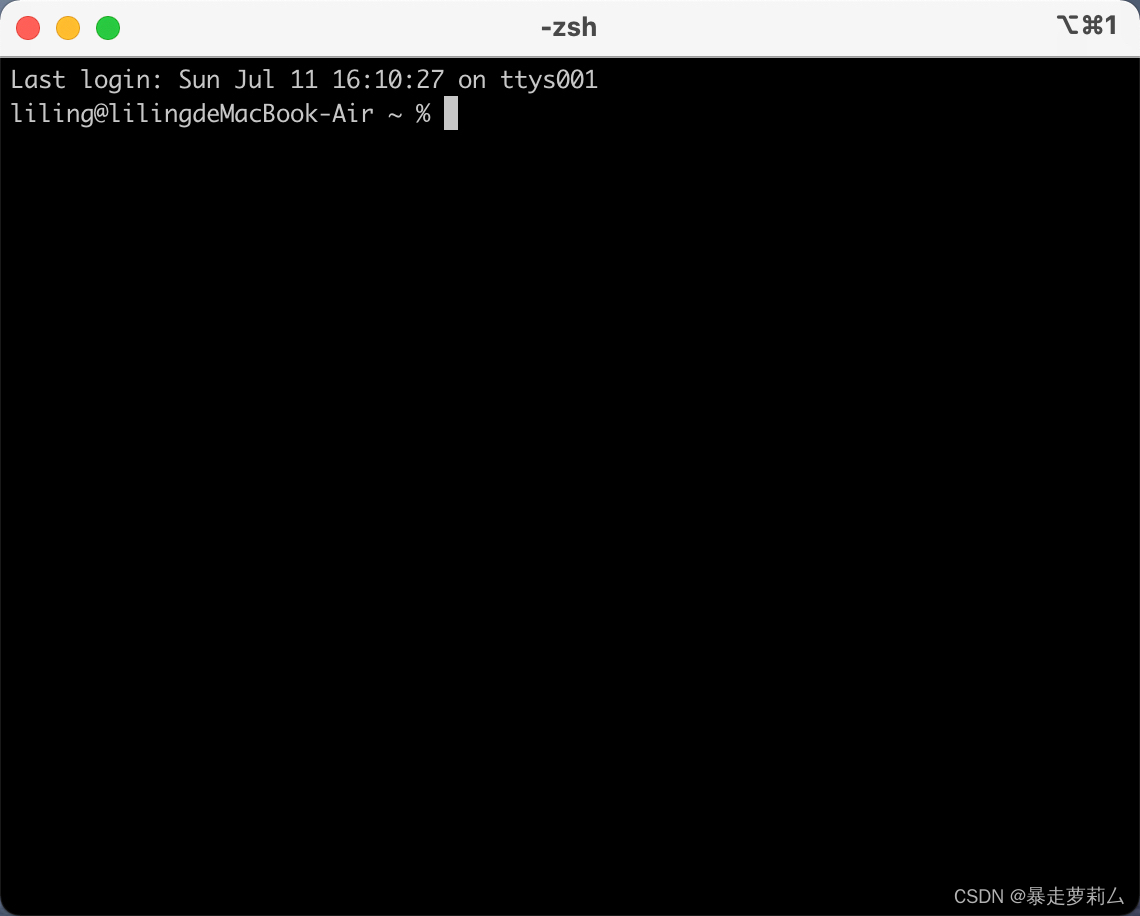 mac如何查看实时日志：_mobaxterm mac-CSDN博客