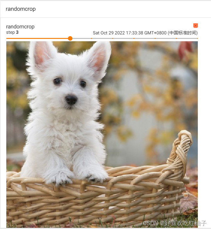 pytorch初学笔记（四）：常见的Transforms使用（ToTensor、Normalize、Resize、Compose、RandomCrop）-CSDN博客