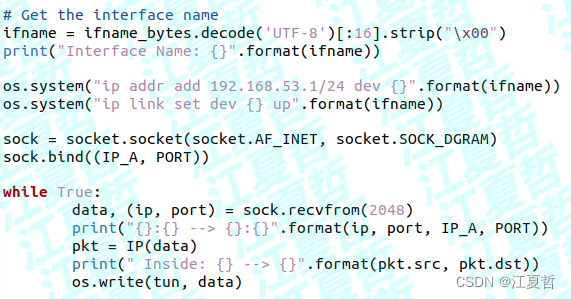 V*N Lab: The Container Version_v*n lab: the container version(seed labs)-CSDN博客
