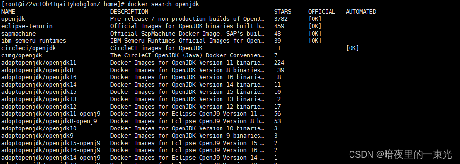 docker部署项目实战_docker jdk8镜像-CSDN博客