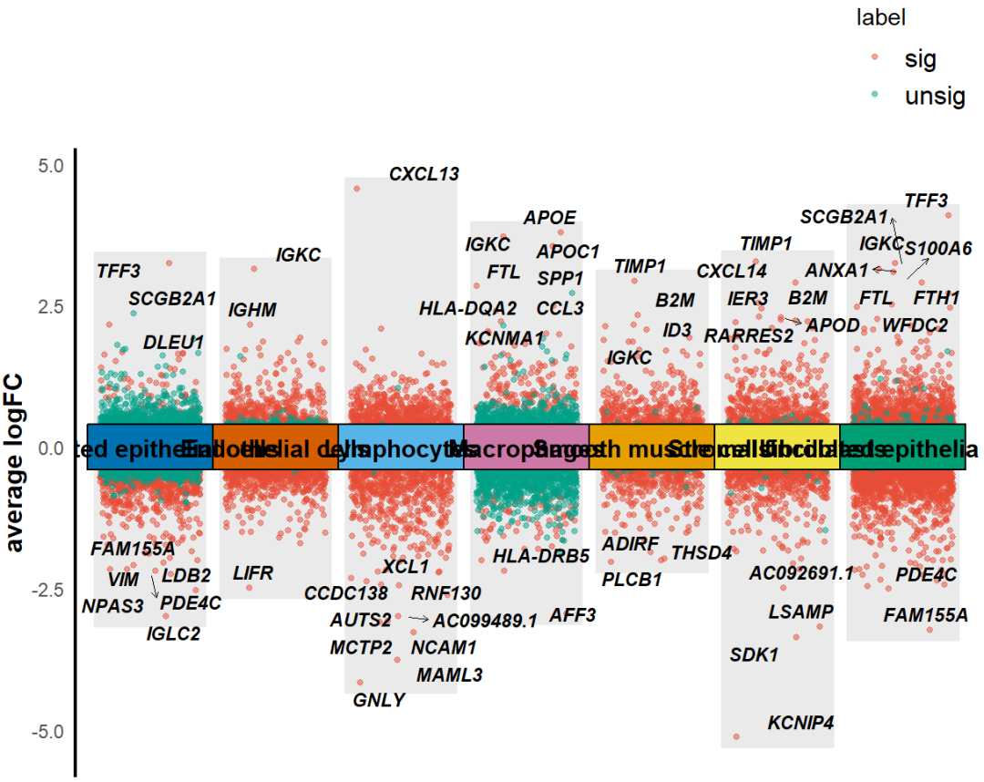 （视频教程）单细胞转录组多组差异基因分析及可视化函数_单细胞多组差异基因展示-CSDN博客