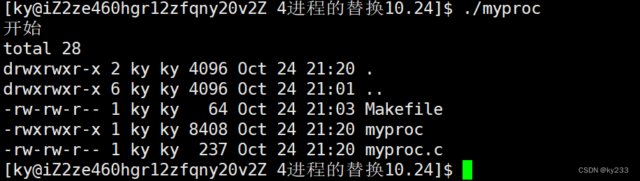 Linux进程控制之进程替换_execp-CSDN博客
