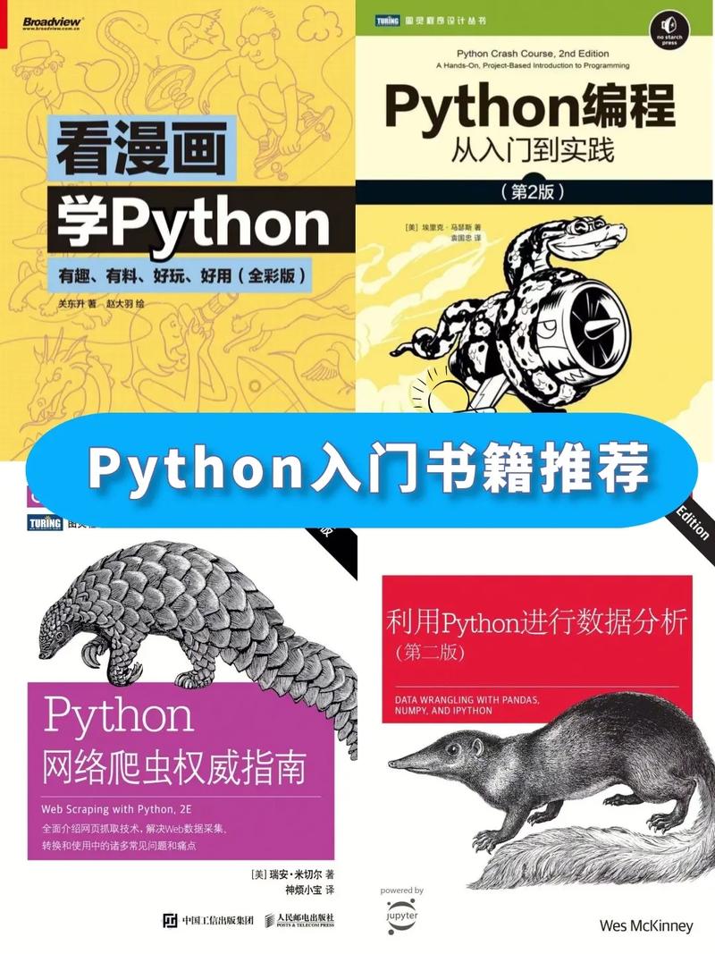 Python编程从入门到精通书python编程入门电子书python 电子书下载 Csdn博客