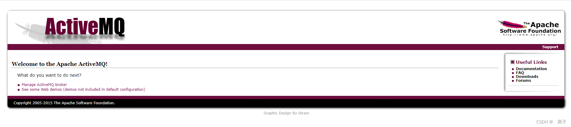 ActiveMQ 安装（quick start）_activemq5.17 jdk版本-CSDN博客