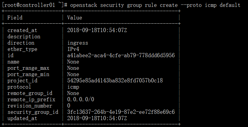 搭建高可用OpenStack（Queen版）集群（十二）之启动一个实例_openstack高可用集群-CSDN博客