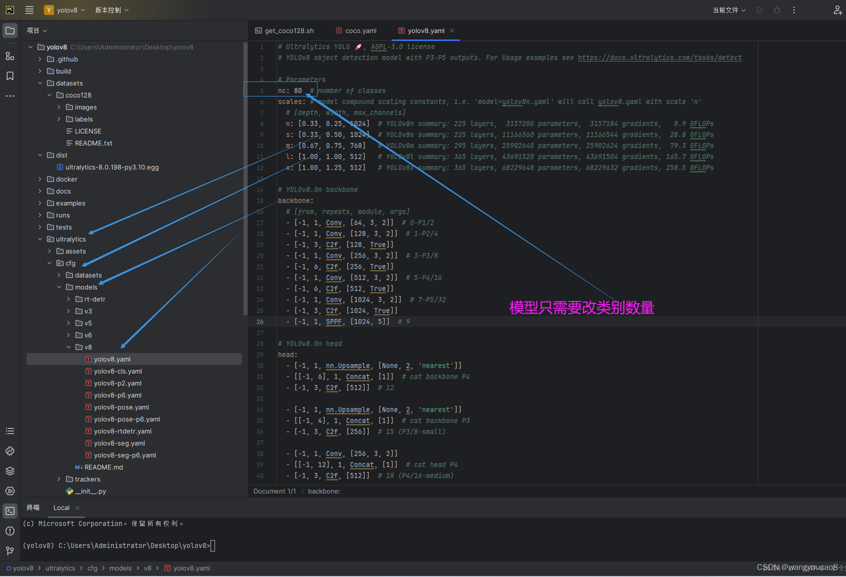 YOLOV8训练_yolov8口令训练-CSDN博客