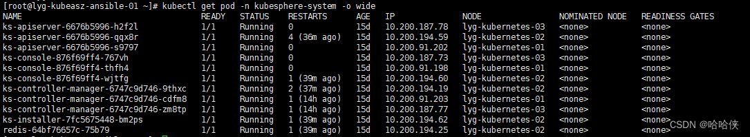 【kubesphere 登录异常quest to hitp://ks-apiserver/oauth/token failedreason: getaddrinfo ElO ks ...