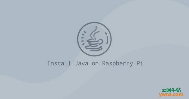 raspberry pi java8_Raspberry Pi上装Java 11和Java 8，及设置默认版本和JAVA_HOME环境变量...-CSDN博客