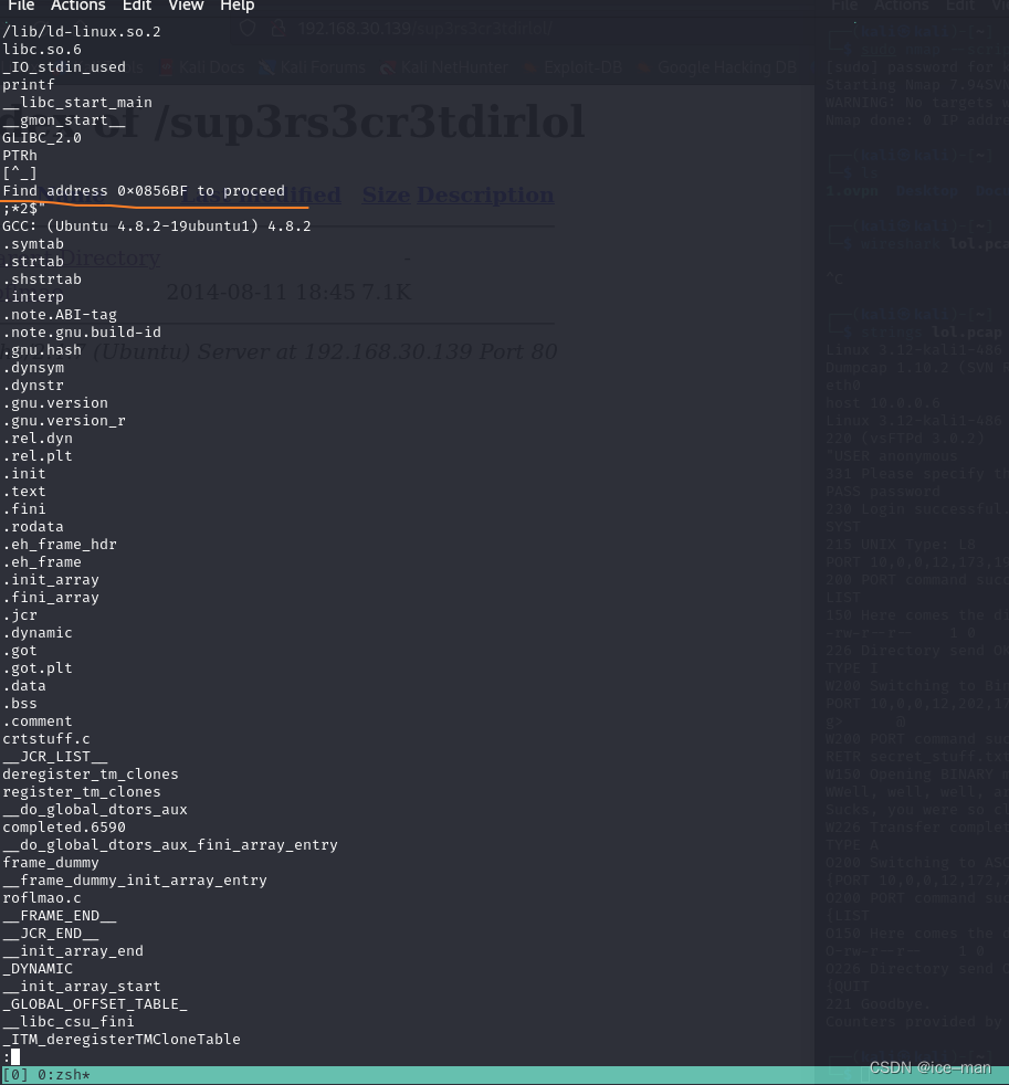 Tr0ll 多种姿势 渗透 详解-CSDN博客
