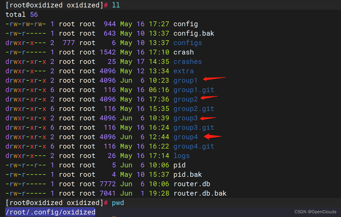 Oxidized-最好用的网络设备备份系统（三）-双机自动备份_oxidized 备份-CSDN博客