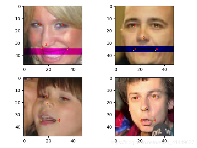 torch 数据增强-随机擦除（随机遮挡）-两种方案_torch dataset 随机遮挡-CSDN博客