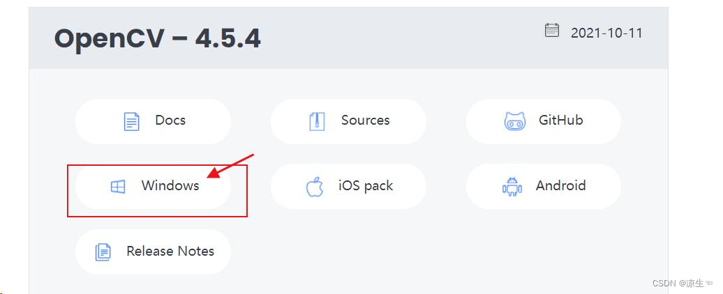 Win10-Yolov5实战+TensorRt部署+Visual Studio2019环境配置+Cmake编译_windows 下载配置 ...