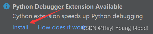 Python Debugger Extension Available-CSDN博客