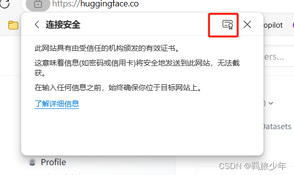 在下载huggface当中用了梯子依旧出现host=‘huggingface.co‘, port=443应该怎样解决，必有效版本！_curl huggingface.co-CSDN博客