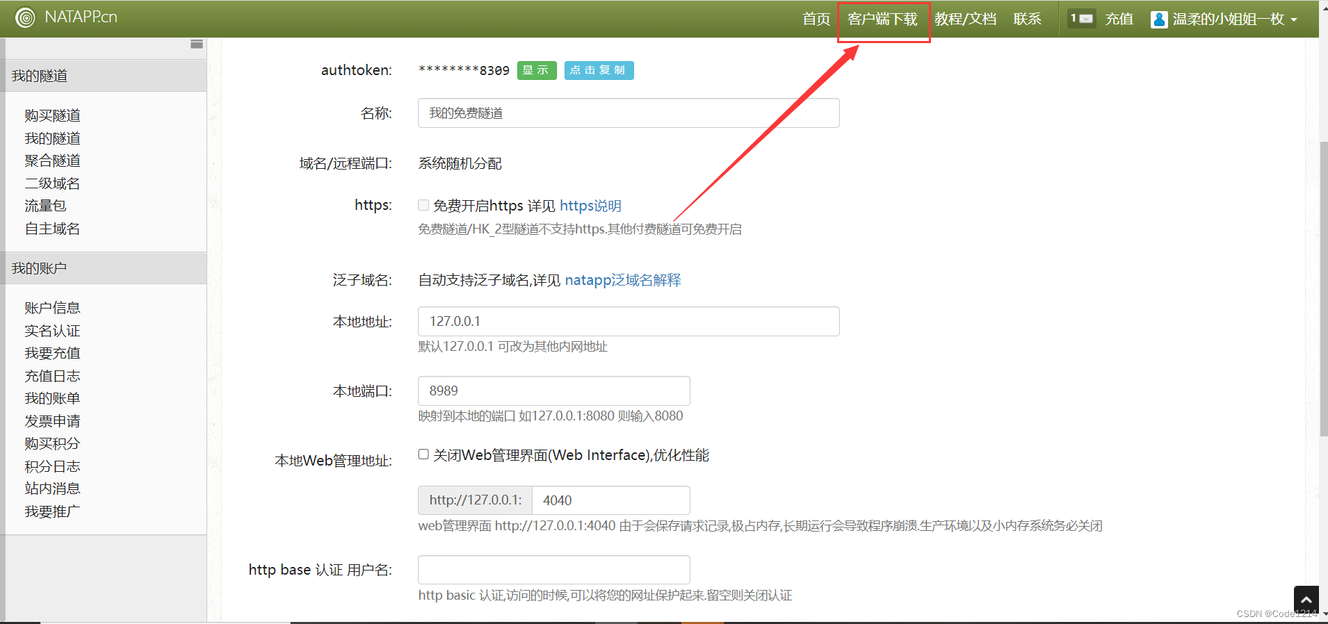 Natapp教程：实现内网穿透与公网访问-CSDN博客