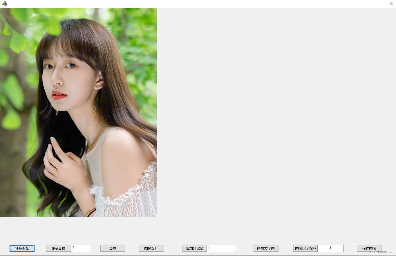 OpenCV Mat对象与CImage对象间的数据传输实例_opencv mat cimage-CSDN博客