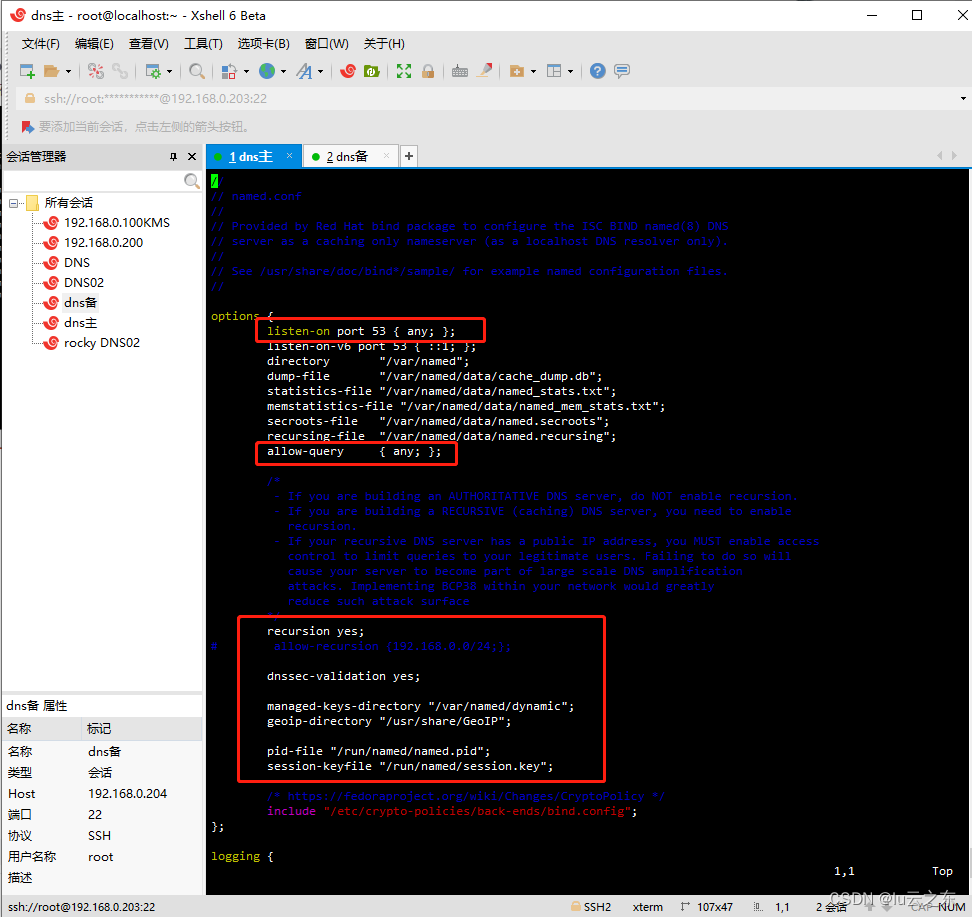 Rocky linux 搭建DNS主从服务器+keepalived实现高可用_keepalived dns-CSDN博客
