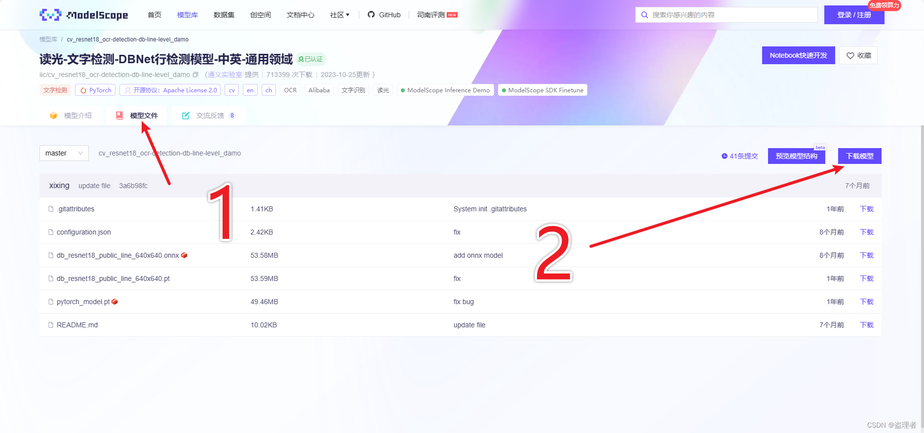 Python OCR 文字检测使用模型：读光-文字检测-DBNet行检测模型-中英-通用领域_读光ocr-CSDN博客