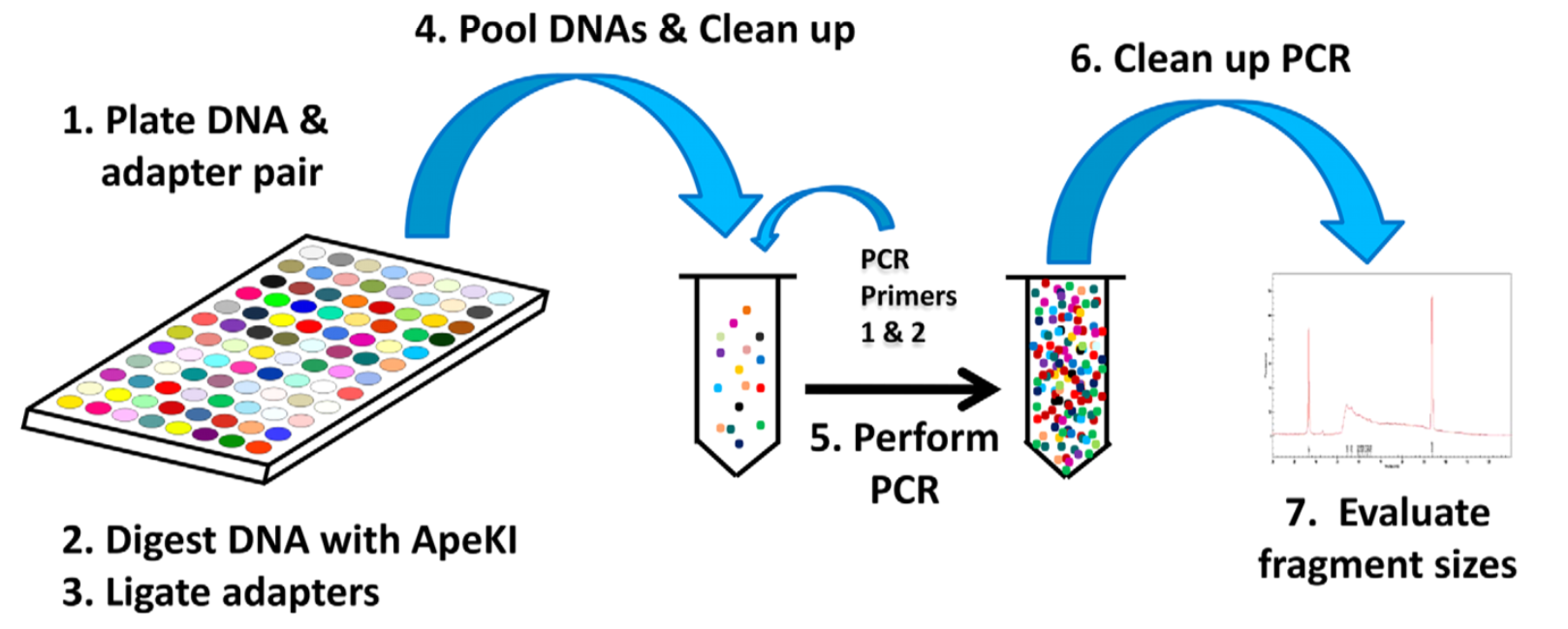 RAD-Seq技术解析-CSDN博客