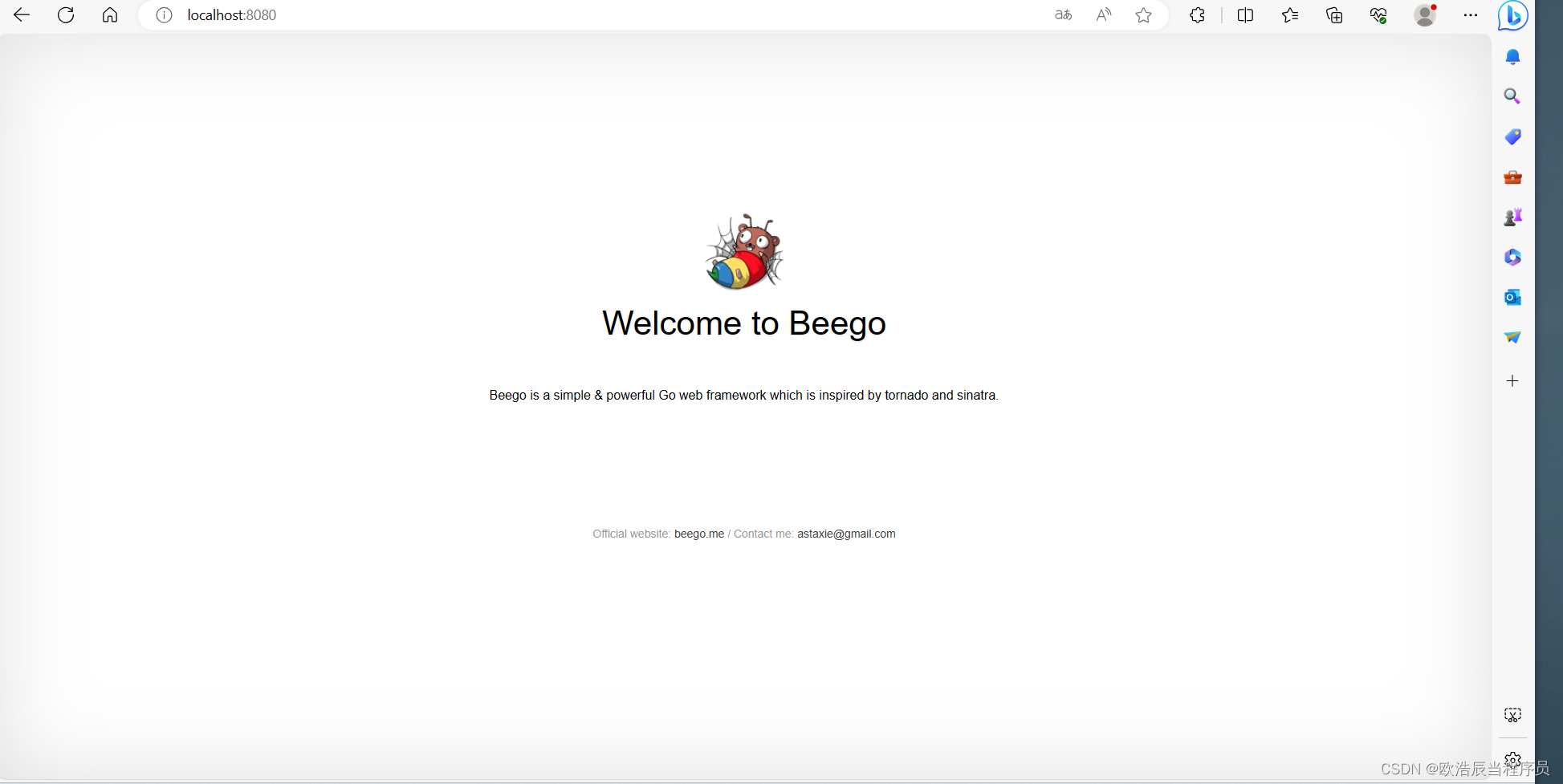 安装完Bee和Beego之后，Beego项目无法启动报错_已经安装beego但是使用不了-CSDN博客