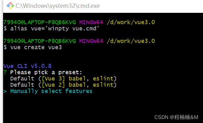 Vue cli创建项目时键盘操作无效；vue3.0项目搭建自定义配置_初始化vue的时候键盘上下左右键不能使用-CSDN博客