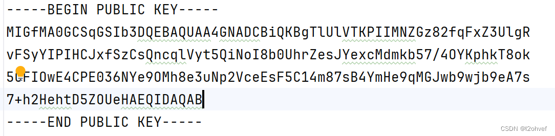 CTF.show——RSA_ctfshow easyrsa7-CSDN博客