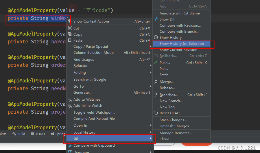 Idea Git查看某个文件操作的历史记录 Git查看选中代码的操作历史记录_git show history-CSDN博客
