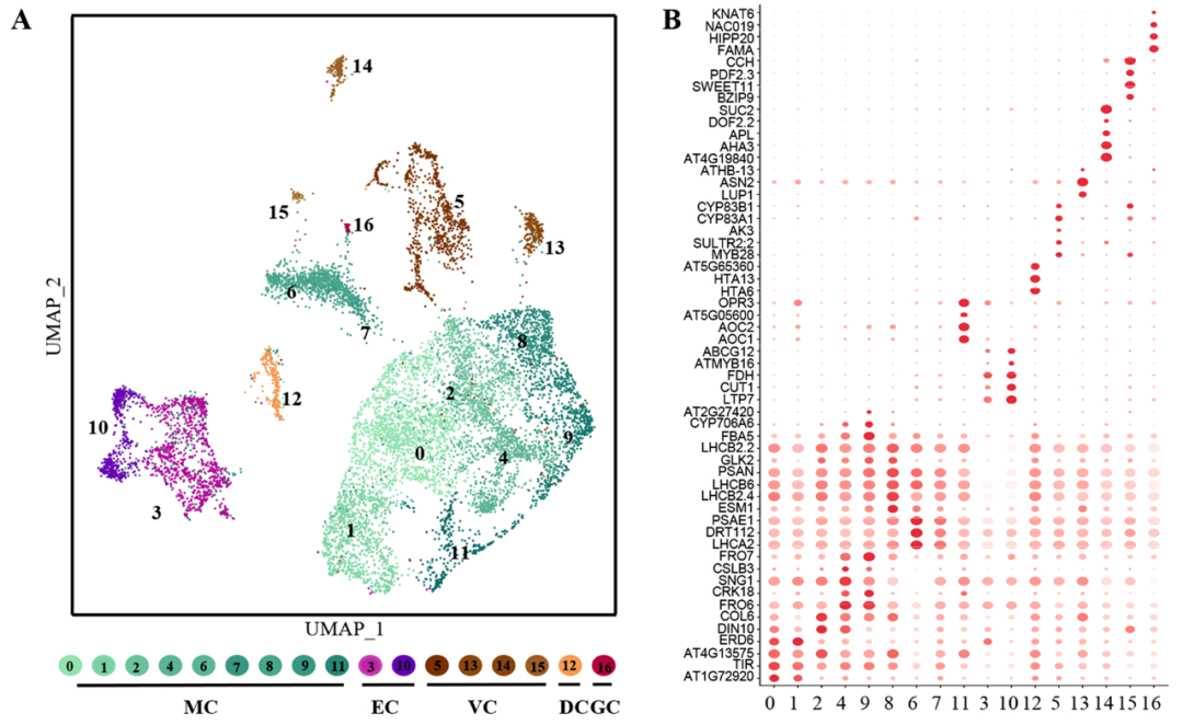 snRNA-seq vs scRNA-seq谁更nice，用数据说话-CSDN博客