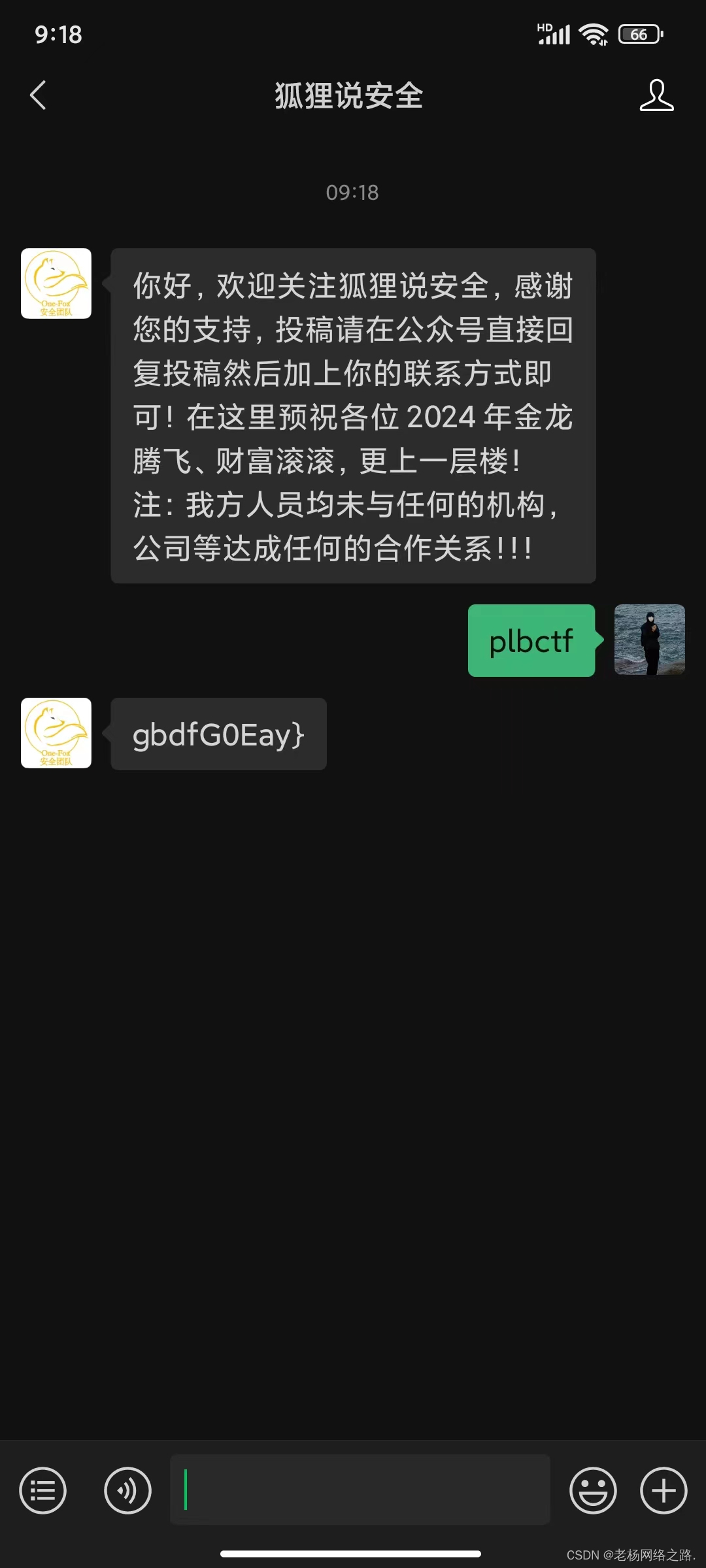 帕鲁杯-MISC Writeup_帕鲁杯 writeup-CSDN博客