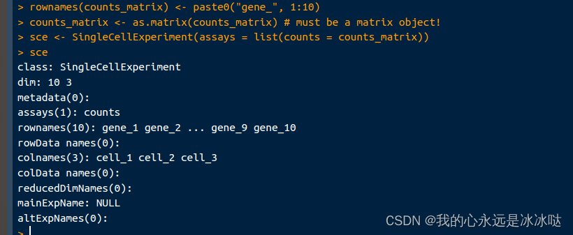 SingleCellExperiment and SummarizedExperiment_single cell experiment-CSDN博客