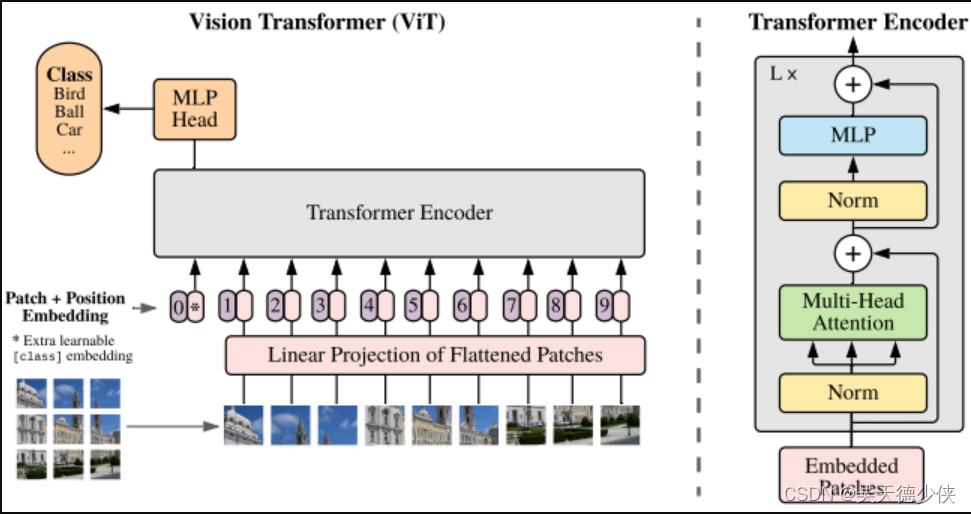 tensorflow2实现vision transformer_tensorflow中的patch embed-CSDN博客