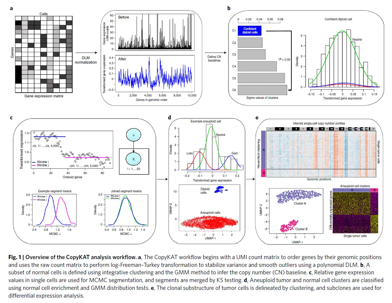 10X单细胞（10X空间转录组）CNV分析回顾之CopyKAT-CSDN博客