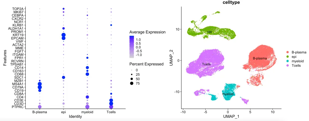 10X单细胞（10X空间转录组）整合分析批次处理之细节（harmony）_单细胞harmony-CSDN博客