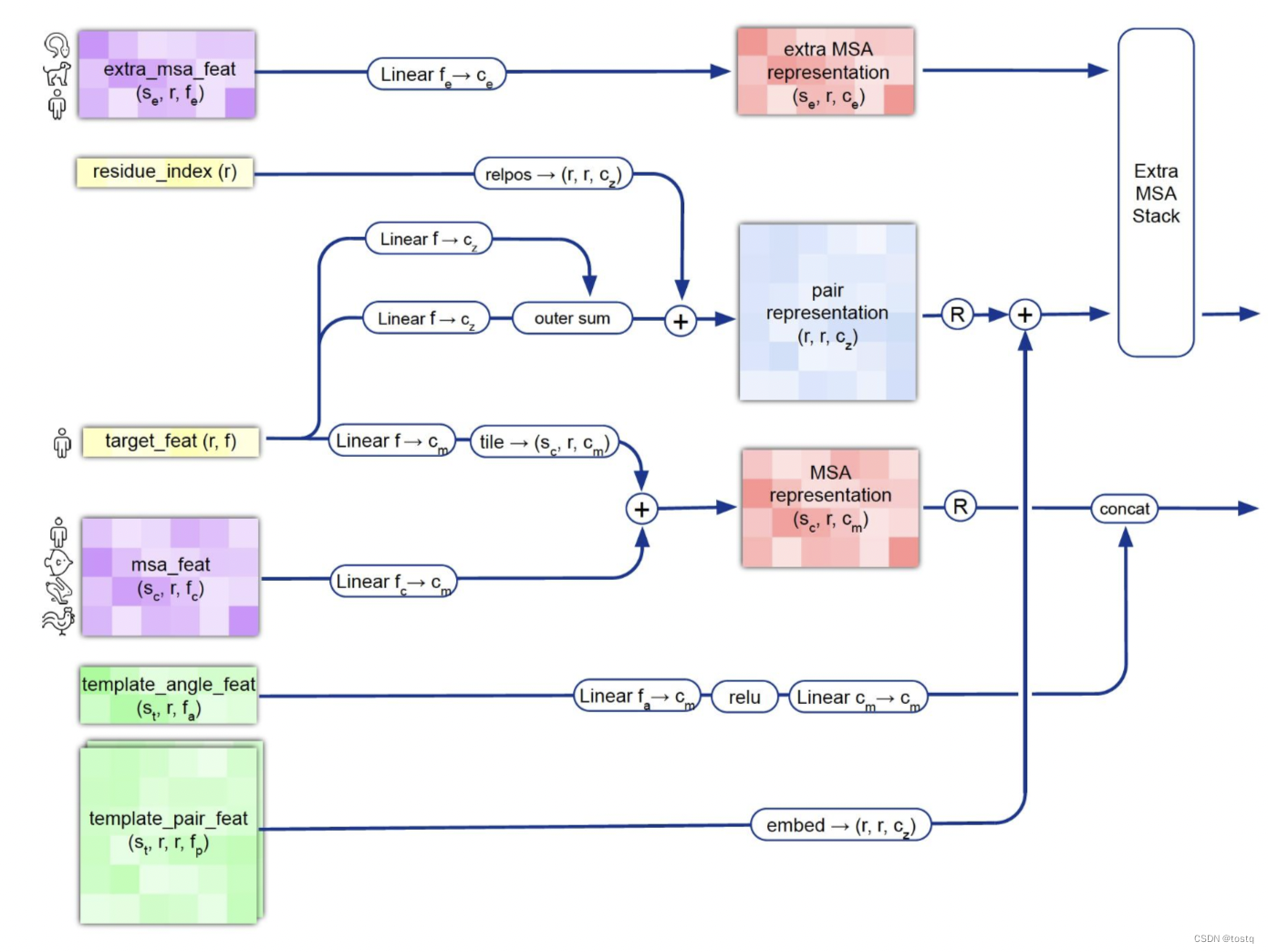 AlphaFold的原理及解读_alphafold原理-CSDN博客