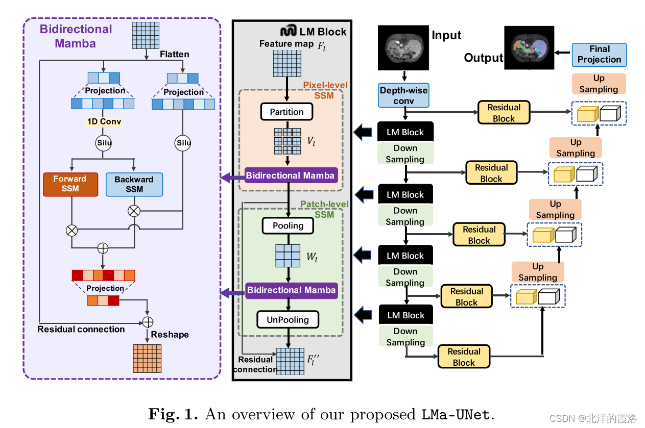 《Large Window-based Mamba UNet for Medical Image Segmentation:Beyond Convolution and Self ...