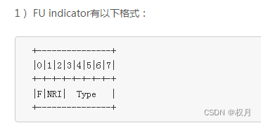 RTP包分析 以及H264 H265的分包_h265 rtp-CSDN博客