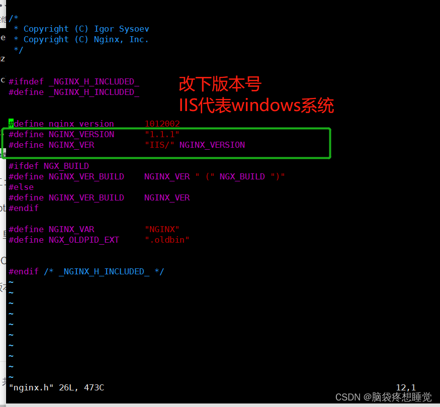 nginx优化配置与防盗链_cngx-CSDN博客