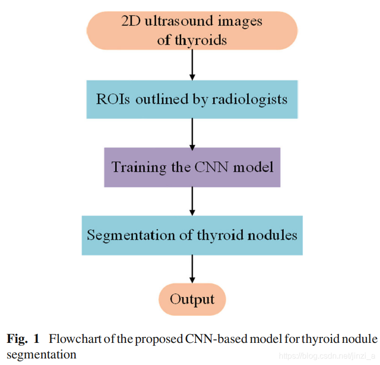 2017Ultrasound image-based thyroid nodule automatic segmentation using ...