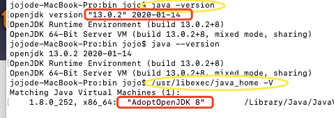 Jenkins启动报错：Jenkins requires Java versions [8, 11] but you are running with Java 13 from xx/xx ...