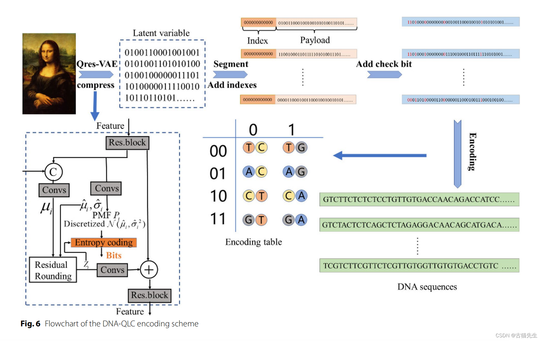 革新DNA存储：DNA-QLC编码方案高效可靠，多媒体图像存储新时代启航_dna-qlc: an efficient and reliable image encoding -CSDN博客