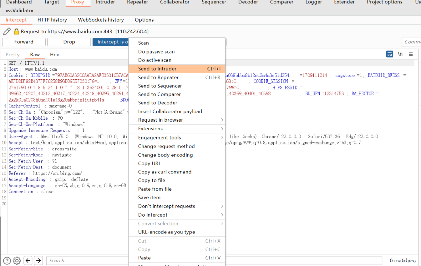 XSS漏洞总结 附带burp xss检测插件使用_xssvalidator-CSDN博客