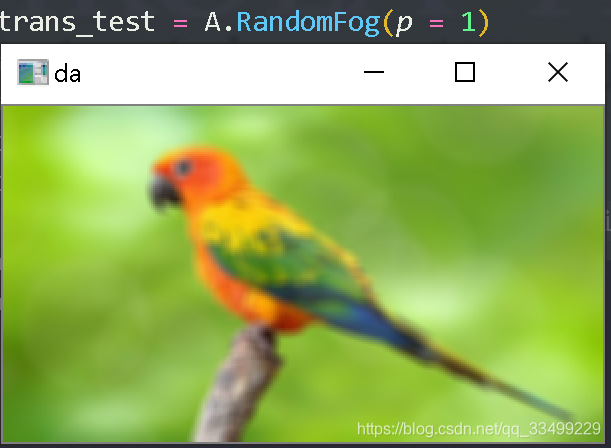 Albumentation使用指南-CSDN博客
