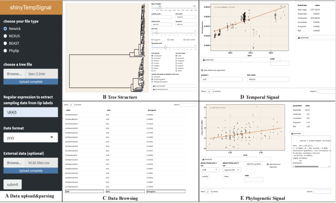 JGG｜南方医余光创组shinyTempSignal:全面分析时间和系统发育信号-CSDN博客
