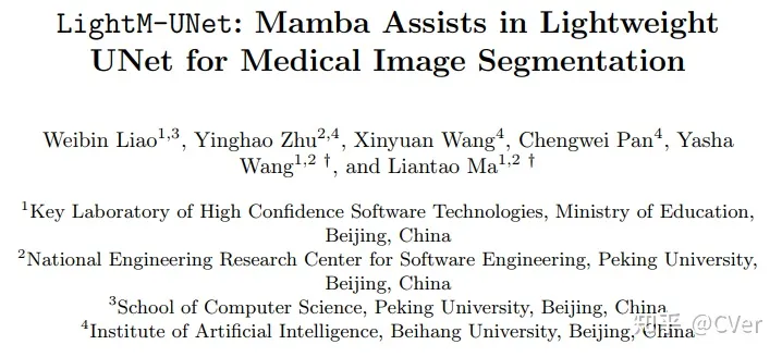 LightM-UNet：Mamba助力轻量级UNet进行医学图像分割_utrallightm-unet-CSDN博客