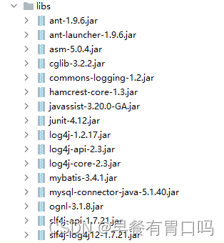 MyBatis入门（select查）_mybatis select-CSDN博客