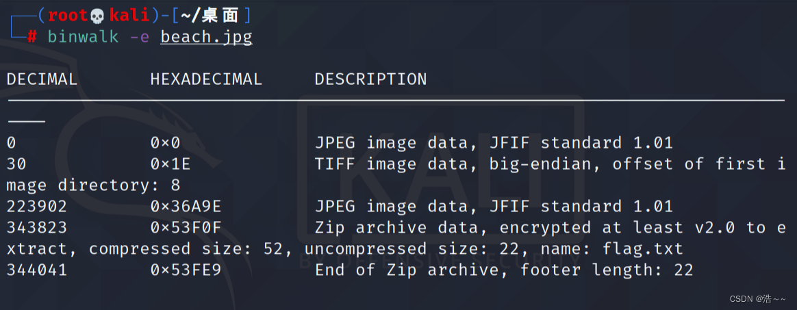 中职网络安全—隐藏信息探索_kali strings-CSDN博客