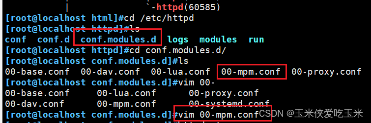 http 协议深入介绍_h t t p协议的访问-CSDN博客